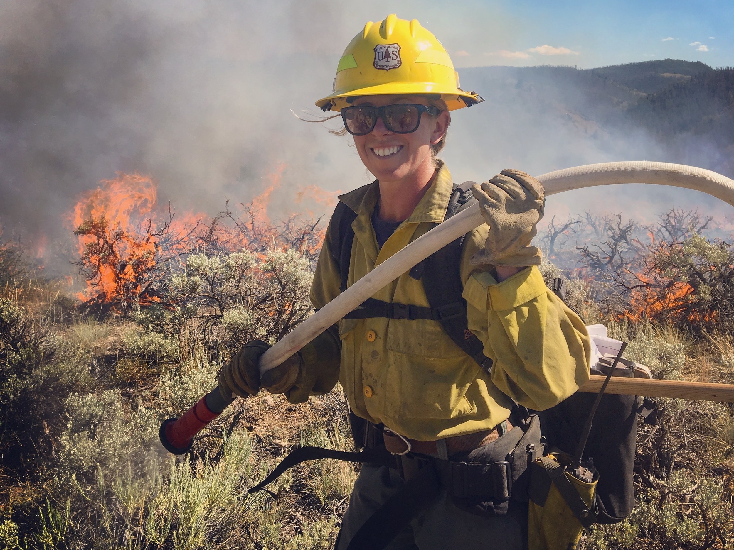 wildlandfire101