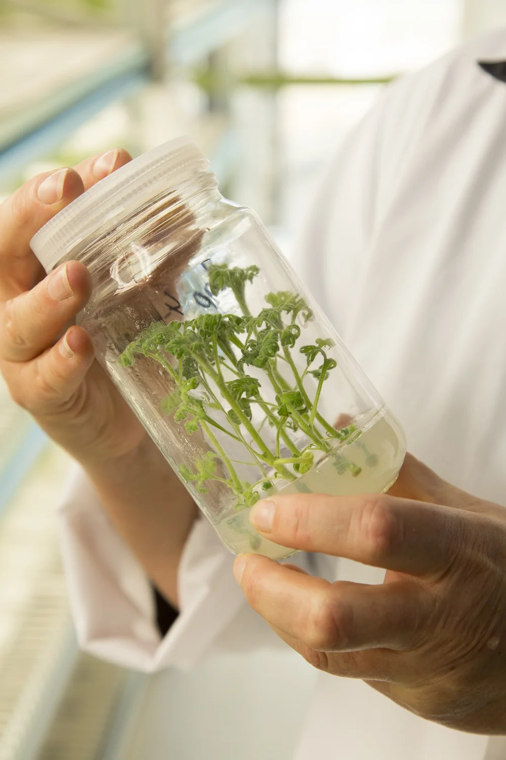 The Australian PlantBank — 360 Degrees | Landscape Architecture