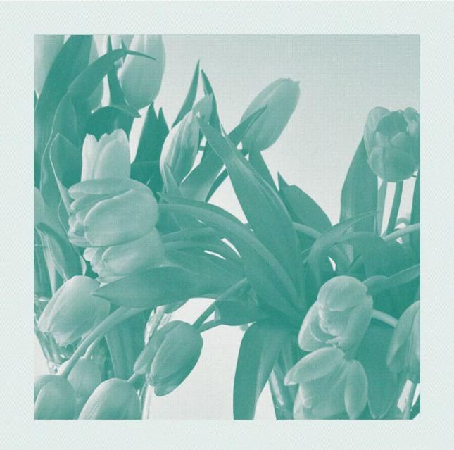 STUDENT RELEASES — THE WONDER NOTE