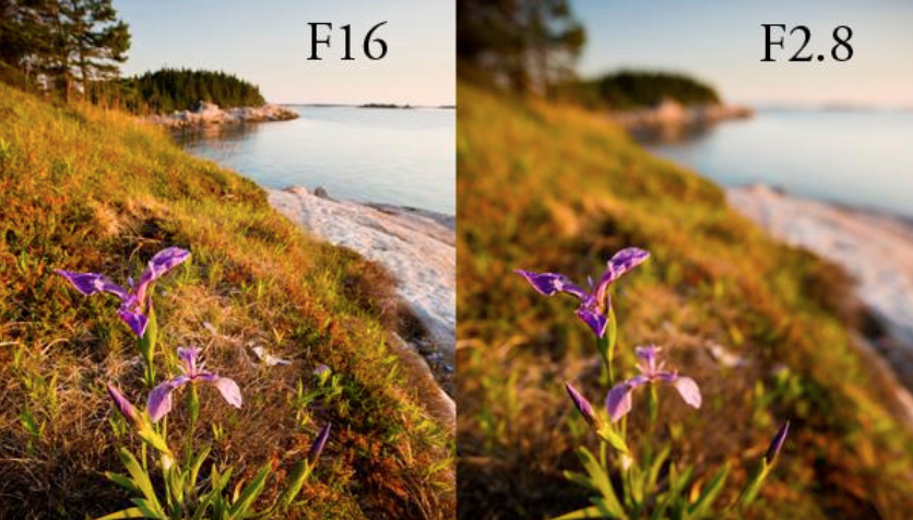 Photographer's Guide To ISO, Aperture, Shutter Speed | Unscripted App