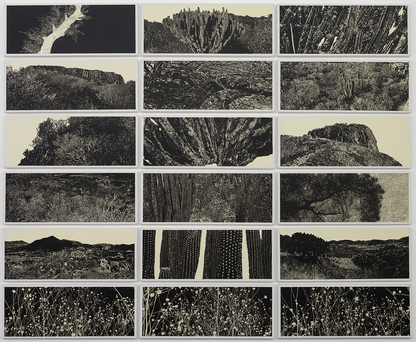 JAN HENDRIX — GALERIA LA CAJA NEGRA