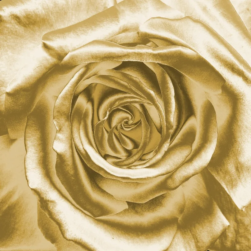Curriculum — Priestesses Of The Rose