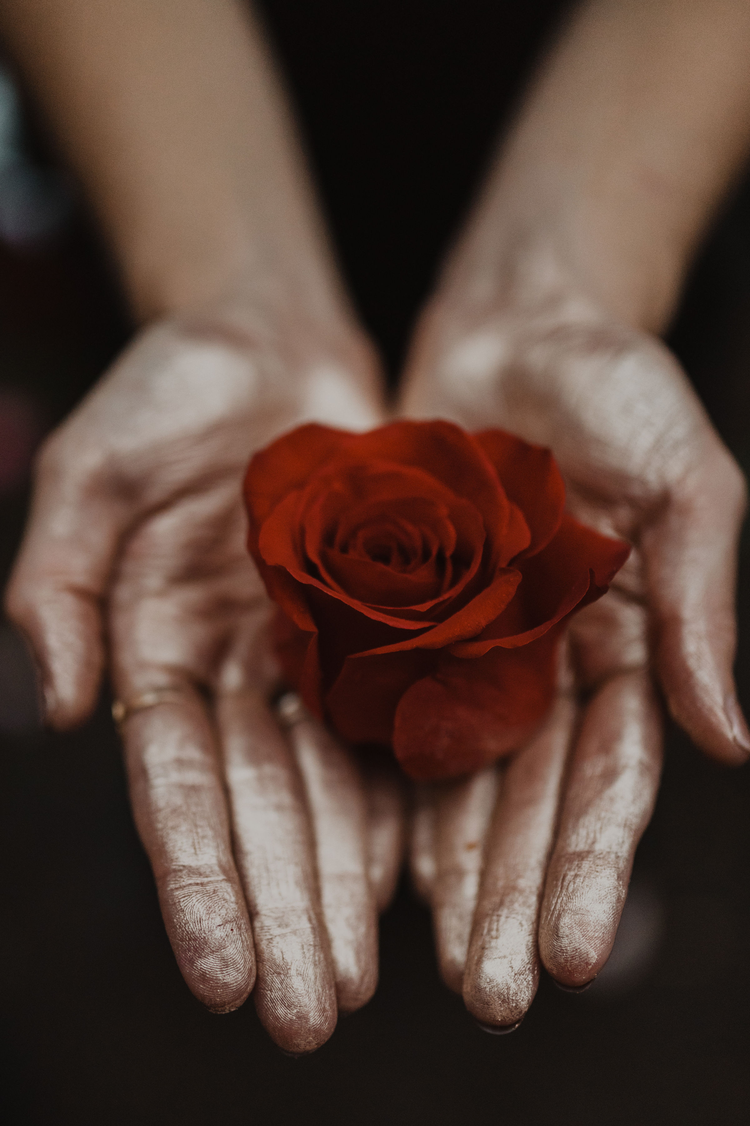 Curriculm — Priestesses Of The Rose