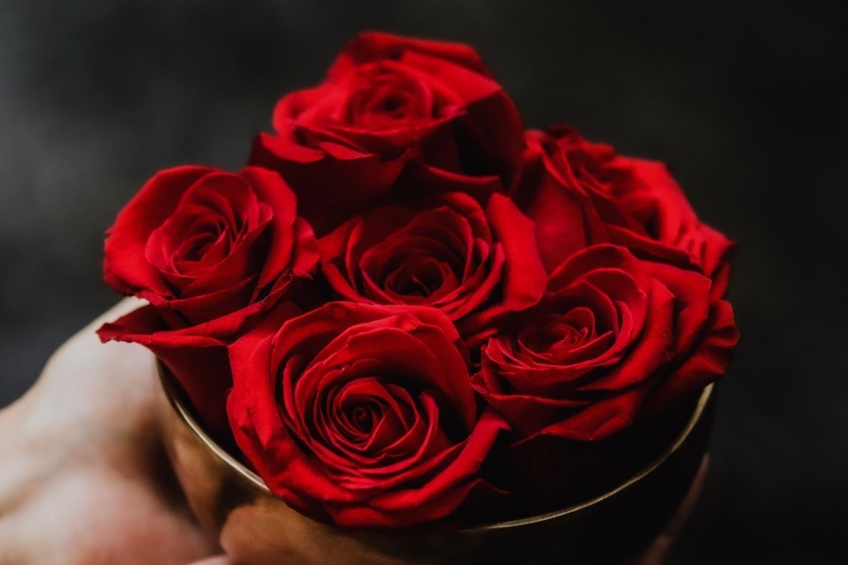 Priestesses Of The Rose