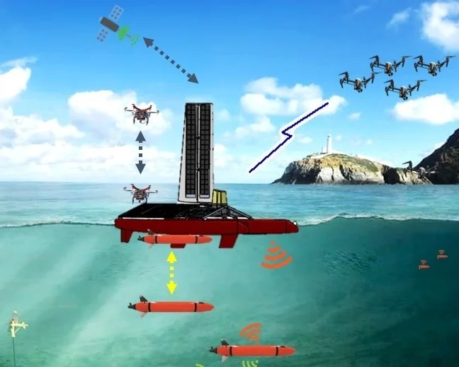 Autonomous Marine Systems