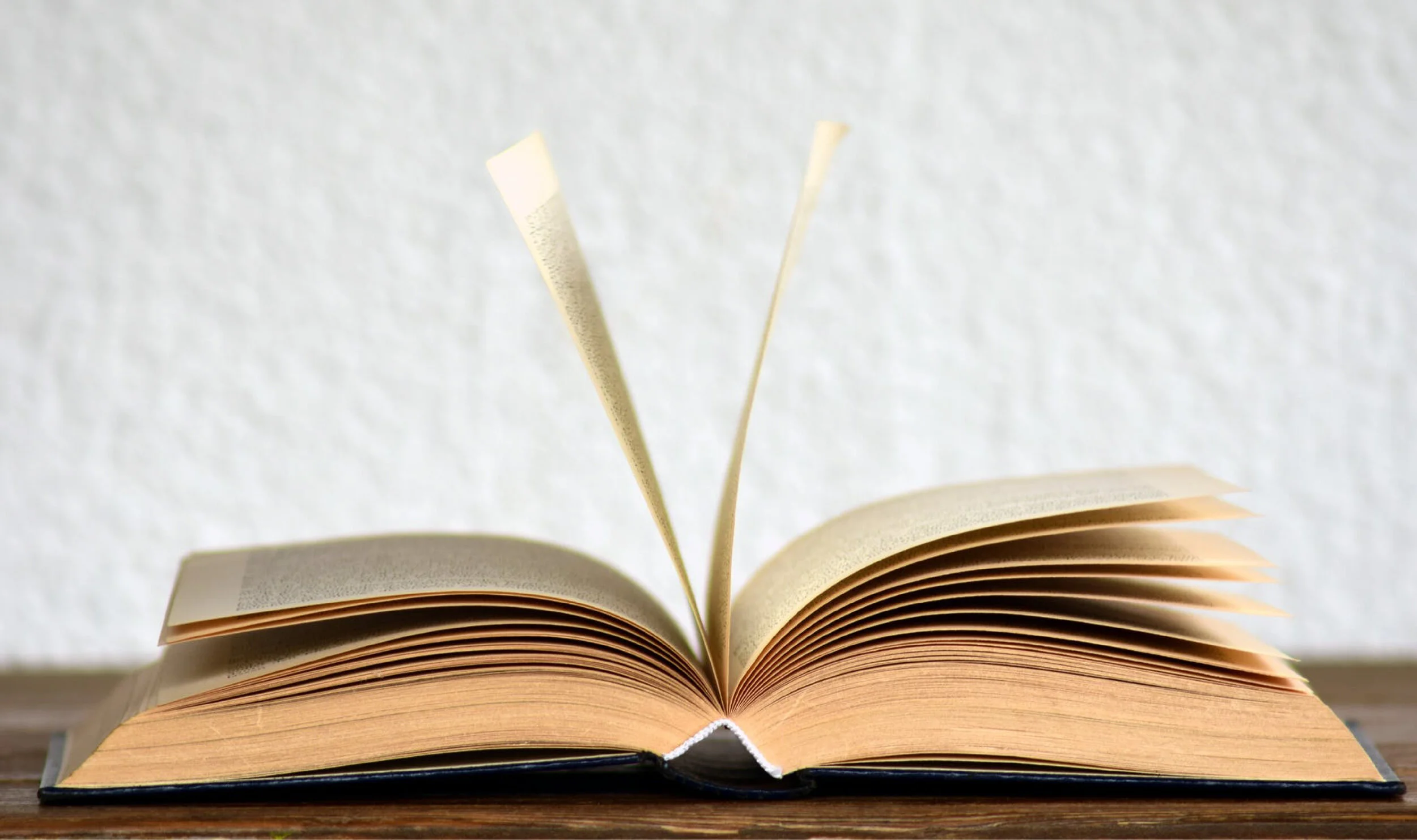 Typical Commercial Lease Terms That Everyone Should Know The Cauble Group typical-commercial-lease-terms-that-everyone-should-know-the-cauble-group