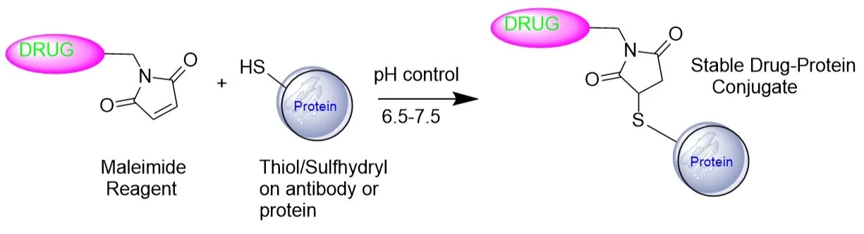 Maleimides for Bioconjugation | Reagents & Fast Quote | Organix ...