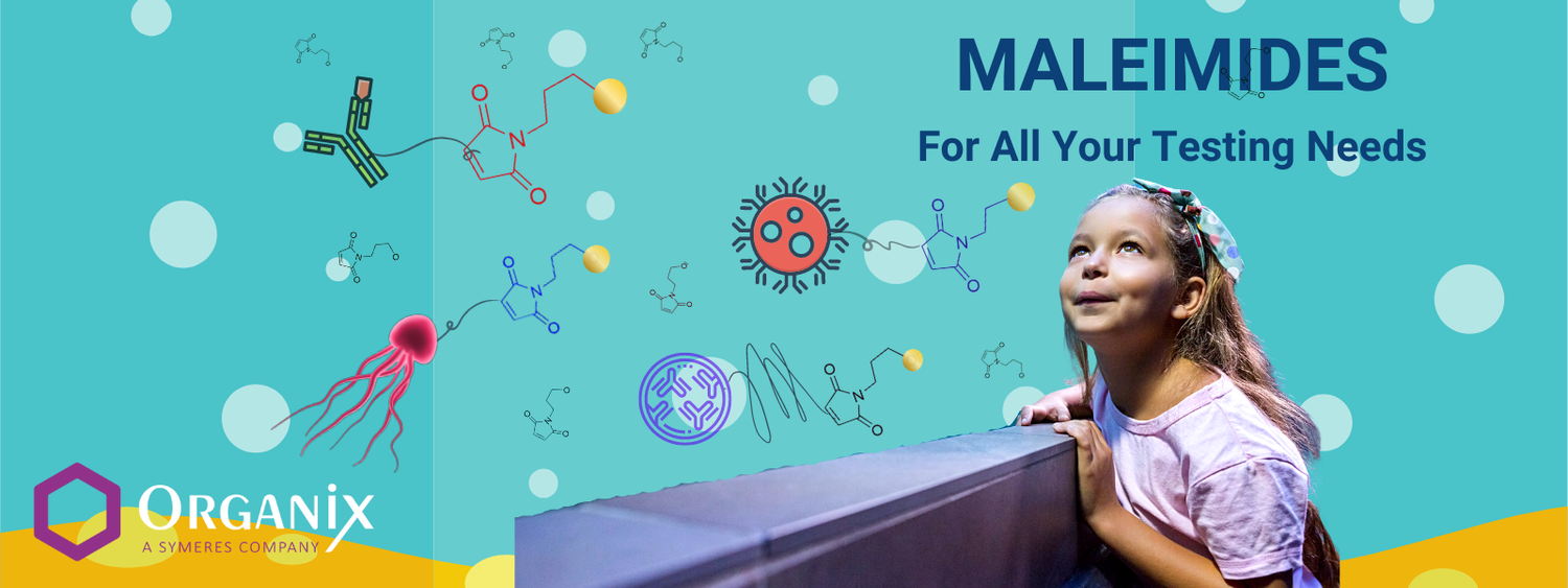 Maleimides for Bioconjugation | Reagents & Fast Quote | Organix ...