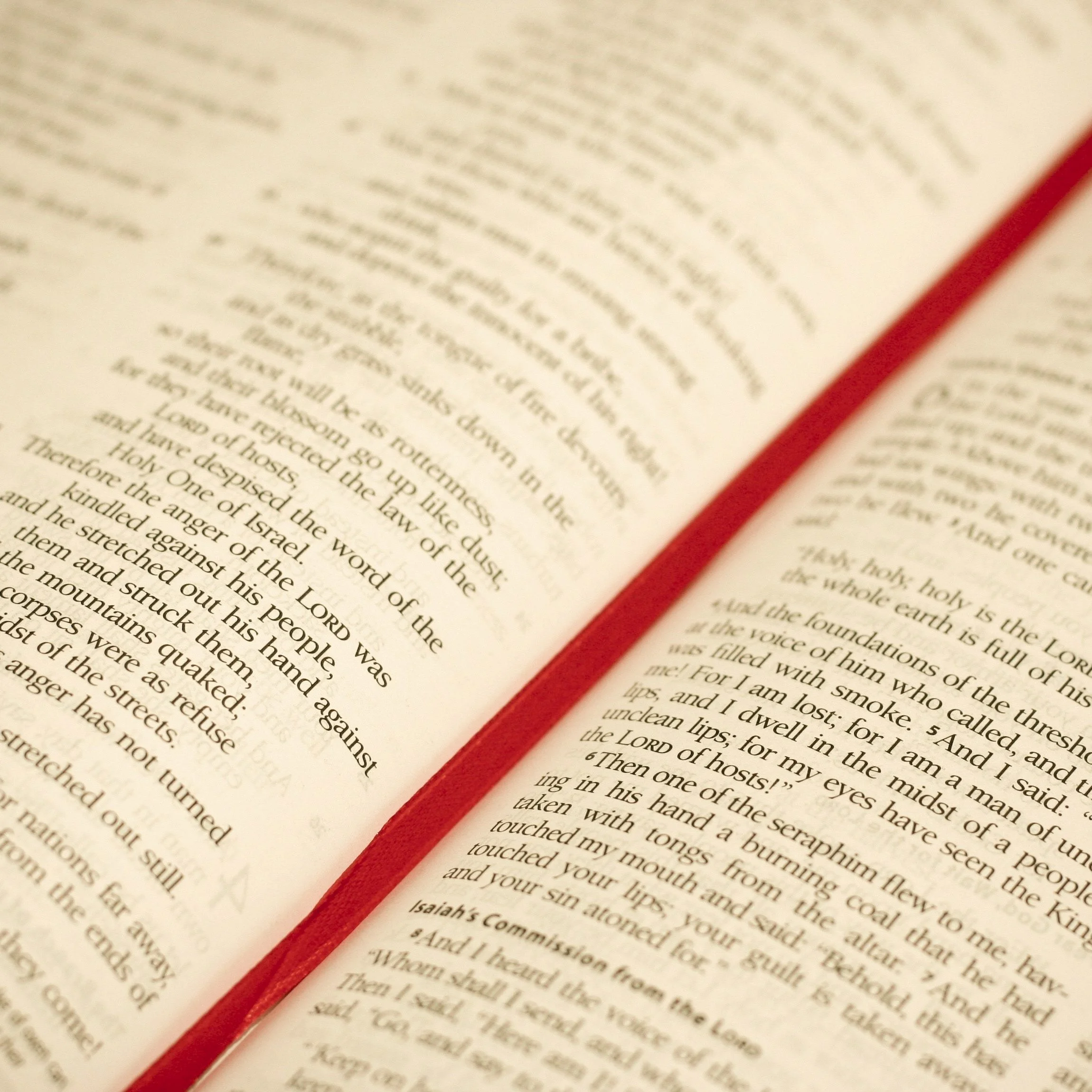 What We Believe — Hanley Christian Reformed Church