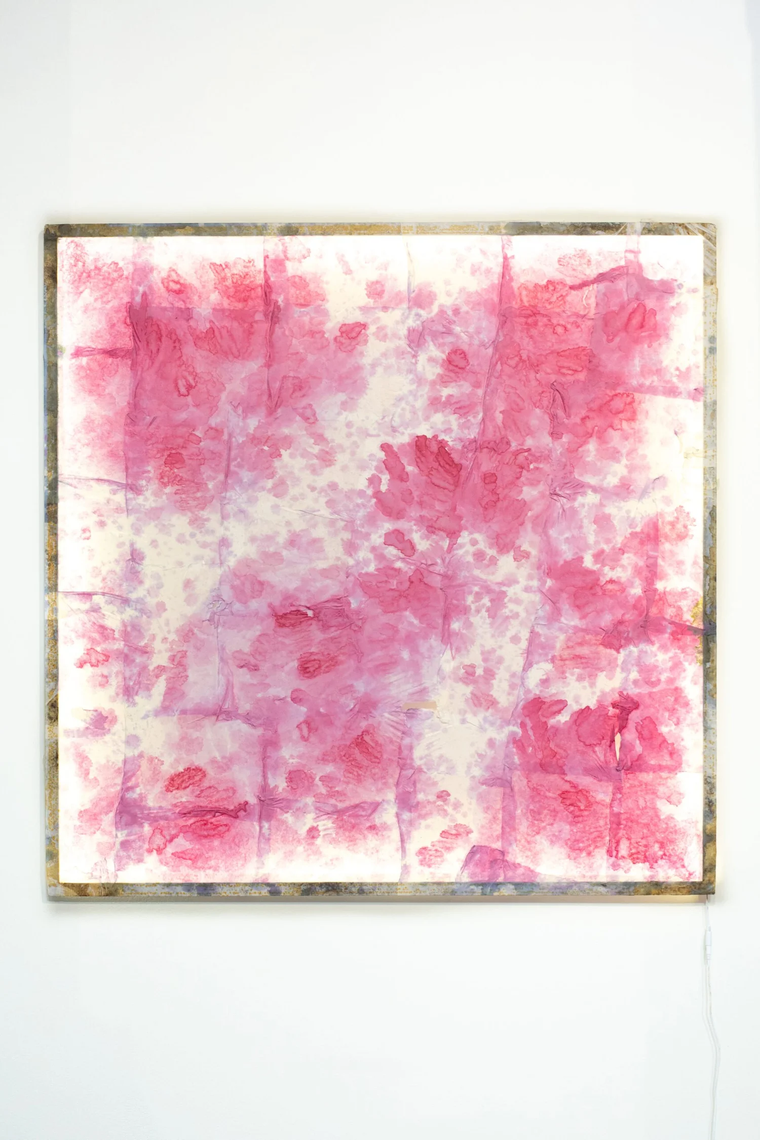 blooms — Ciaran McQuiston