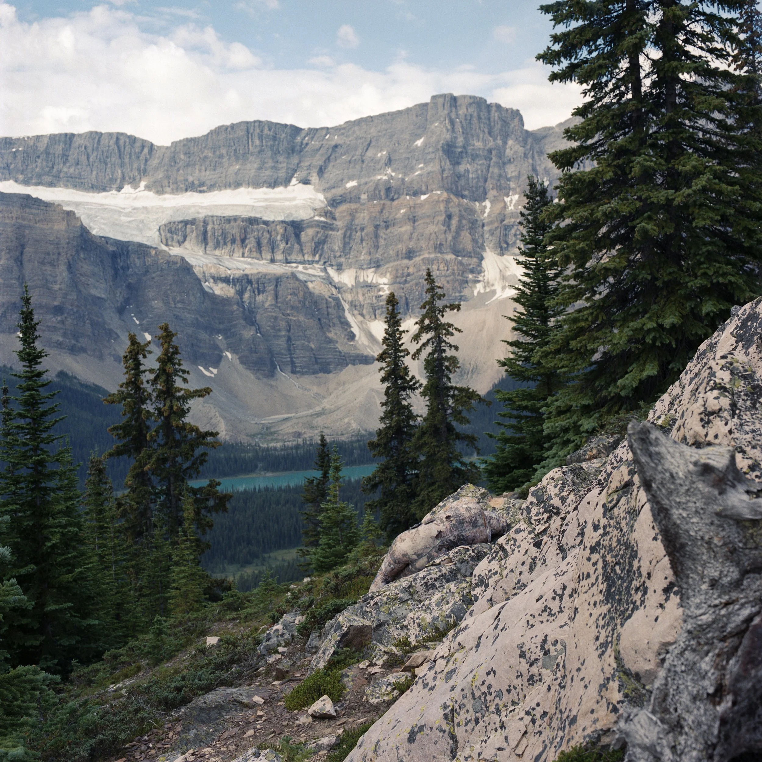 Fieldcraft — Sarah E. Fuller