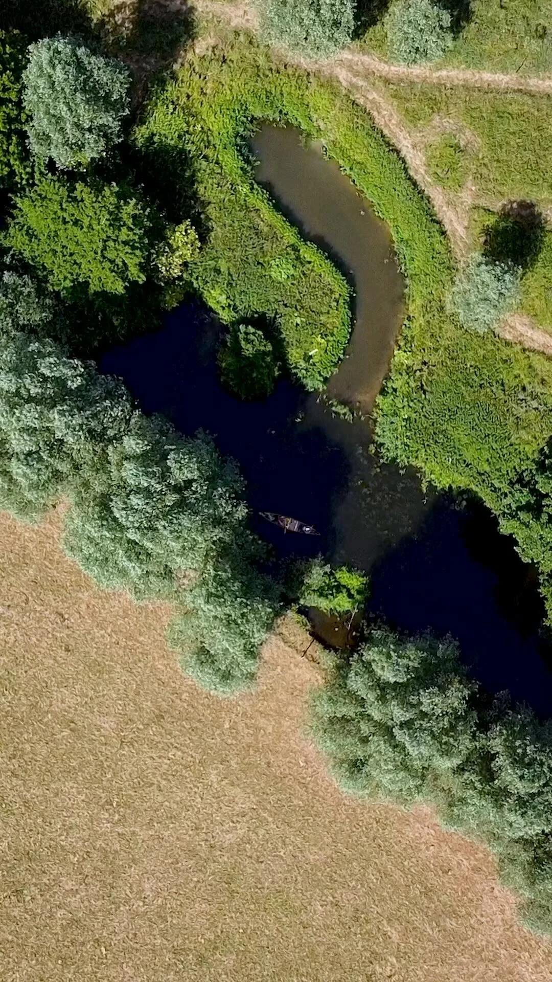 Photos of Rushbanks Campsite — Rushbanks Farm