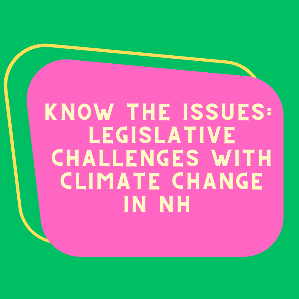 Know Your Vote — Granite State News Collaborative