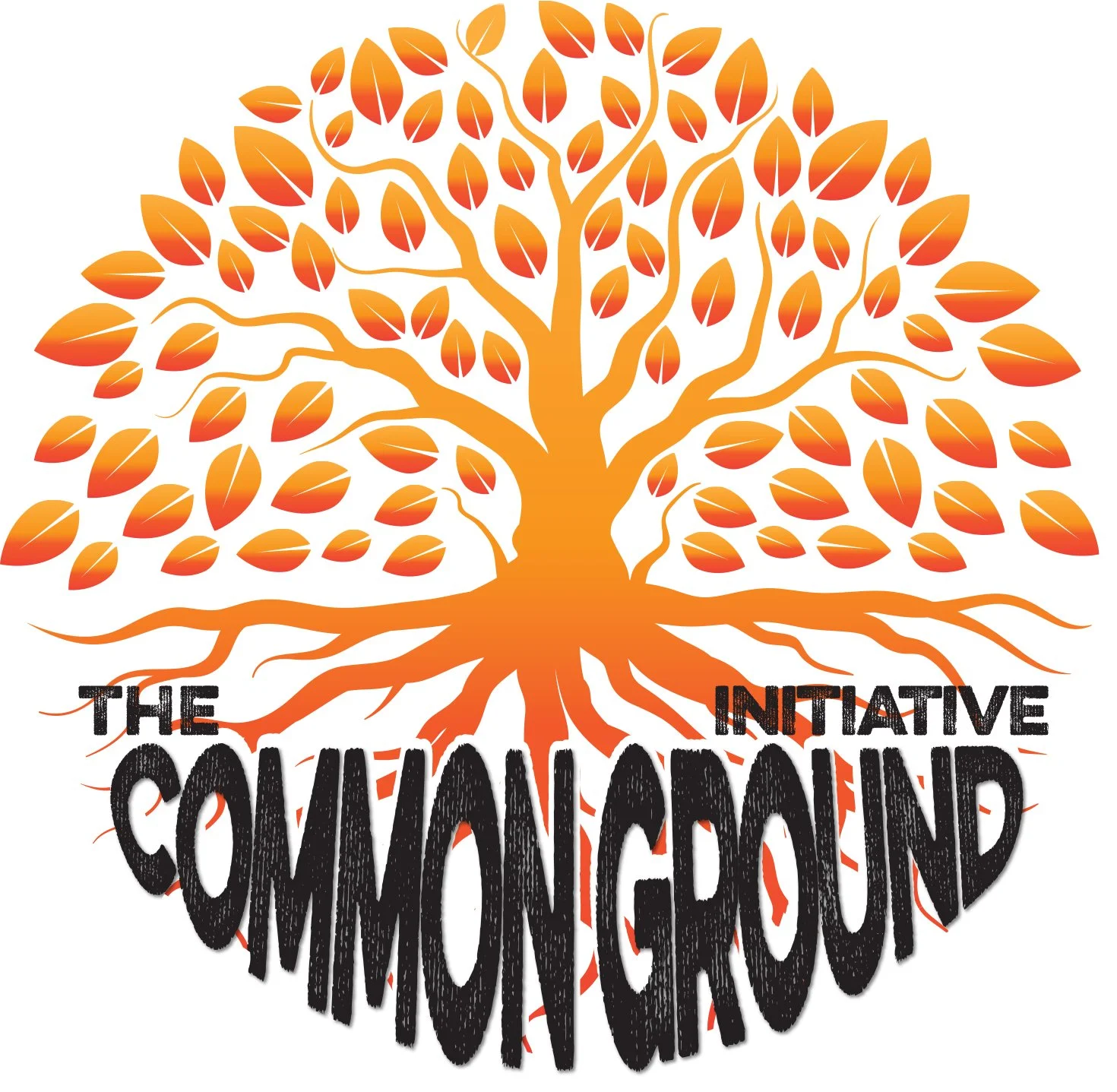 Common Ground Q&A with Daniela Allee — Granite State News Collaborative