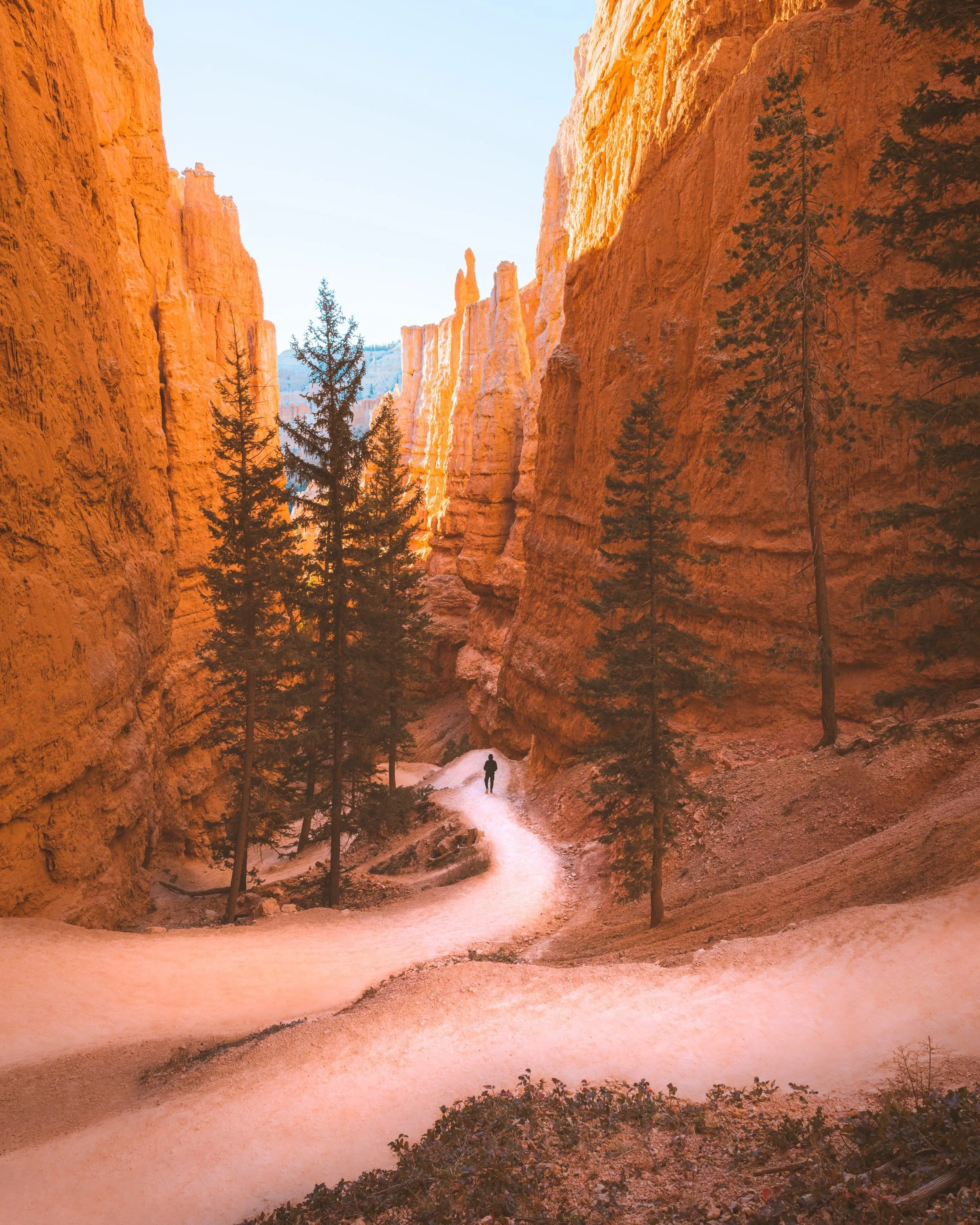 Kyle Patrick Shivers