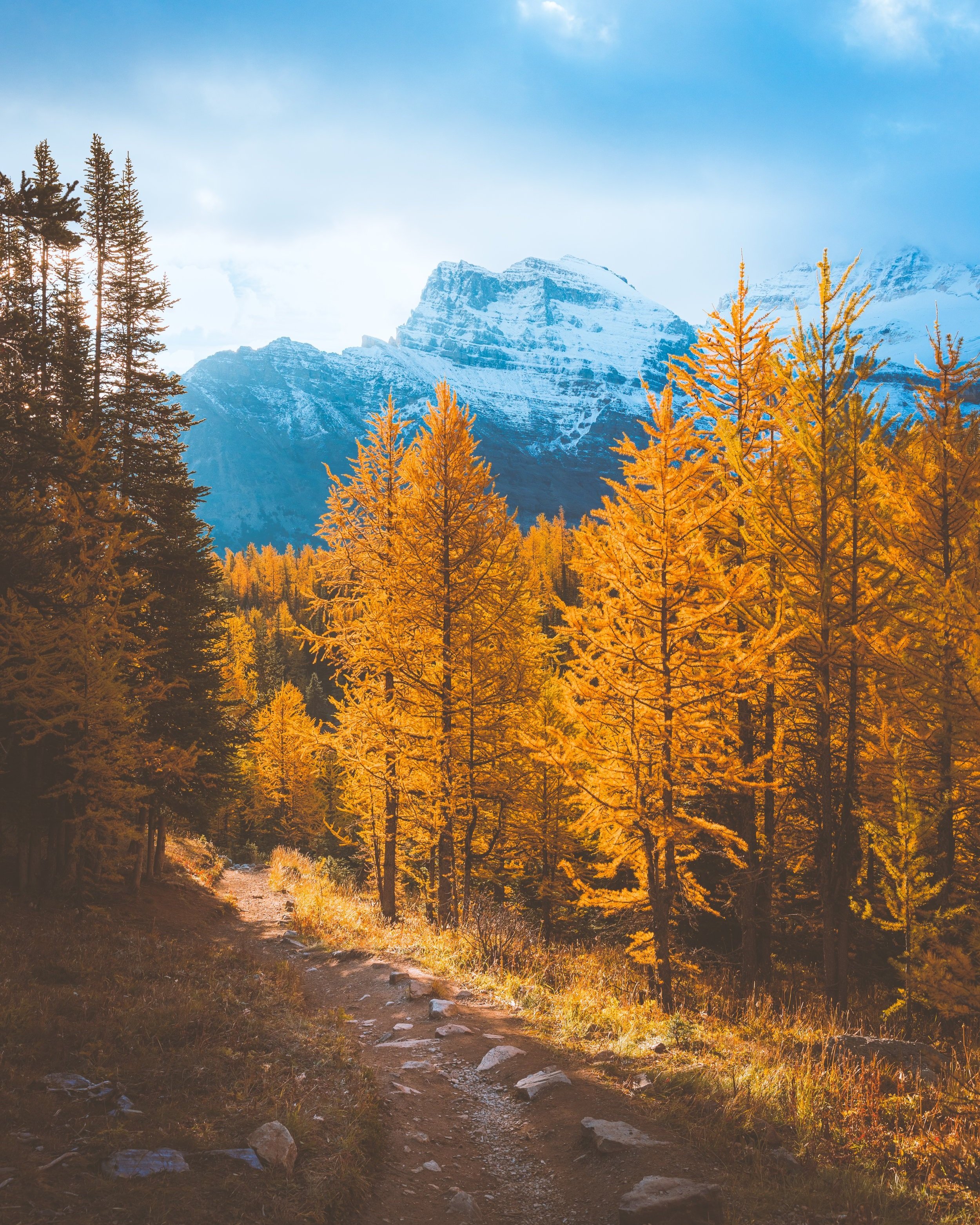 Kyle Patrick Shivers