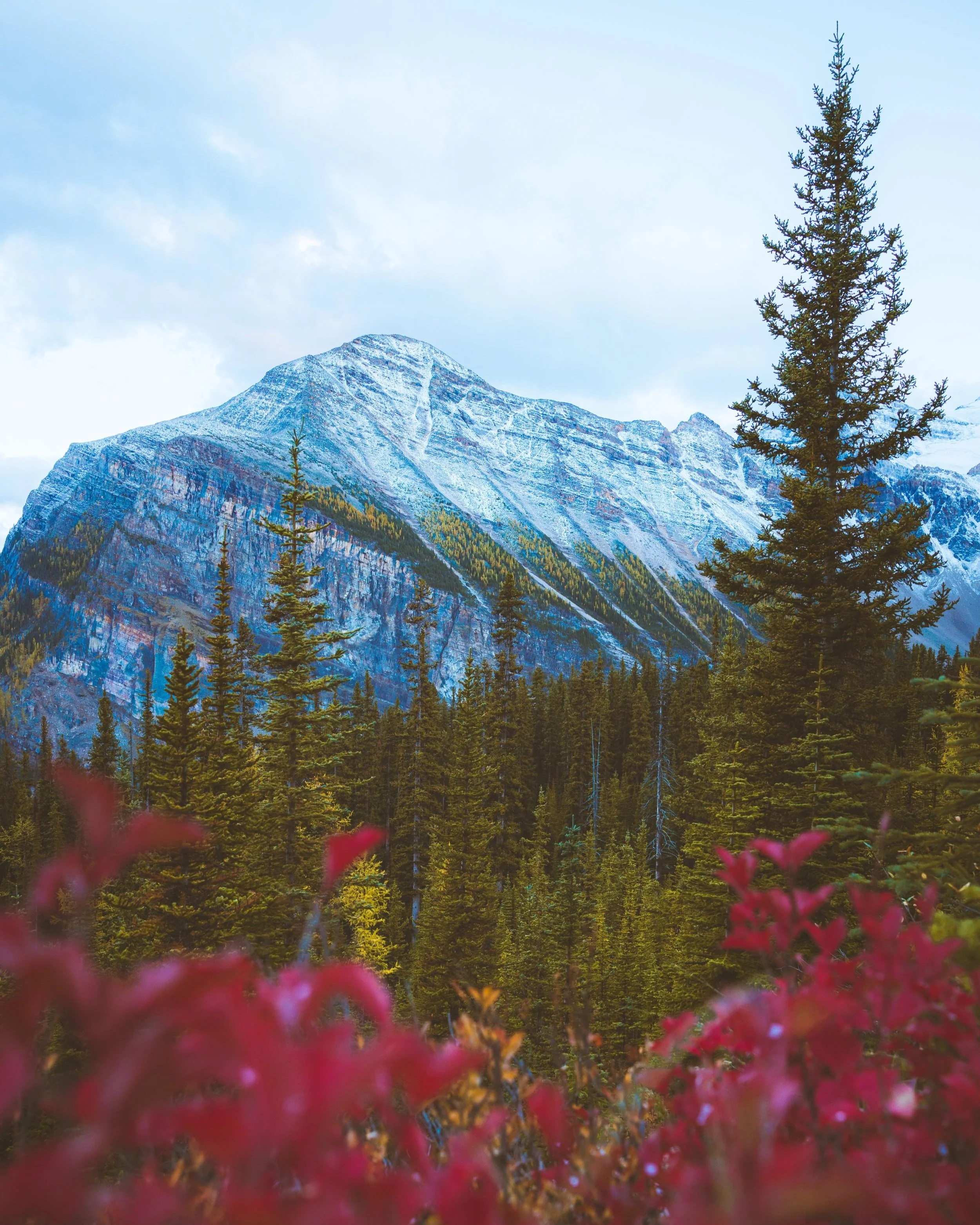 Kyle Patrick Shivers