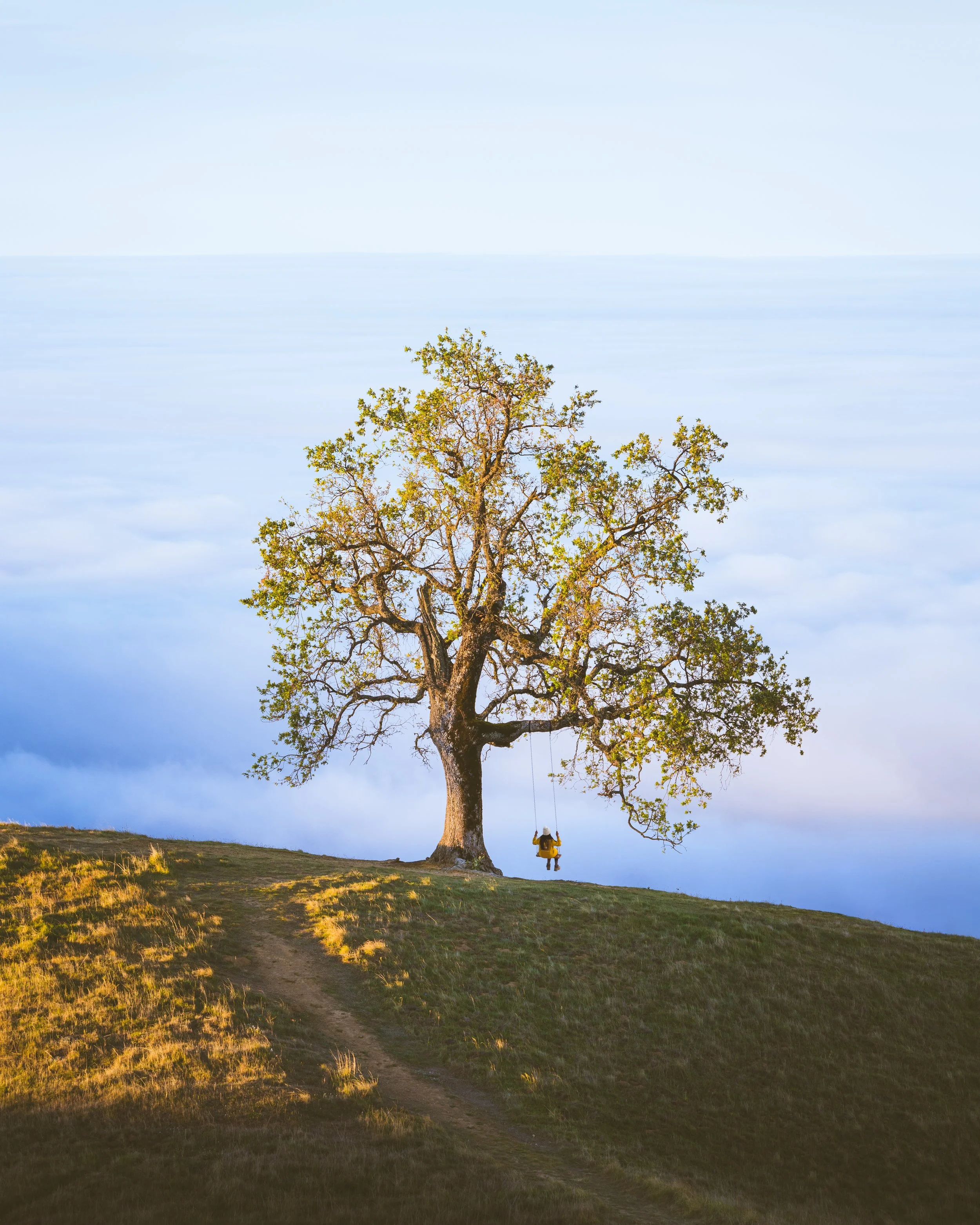 Kyle Patrick Shivers