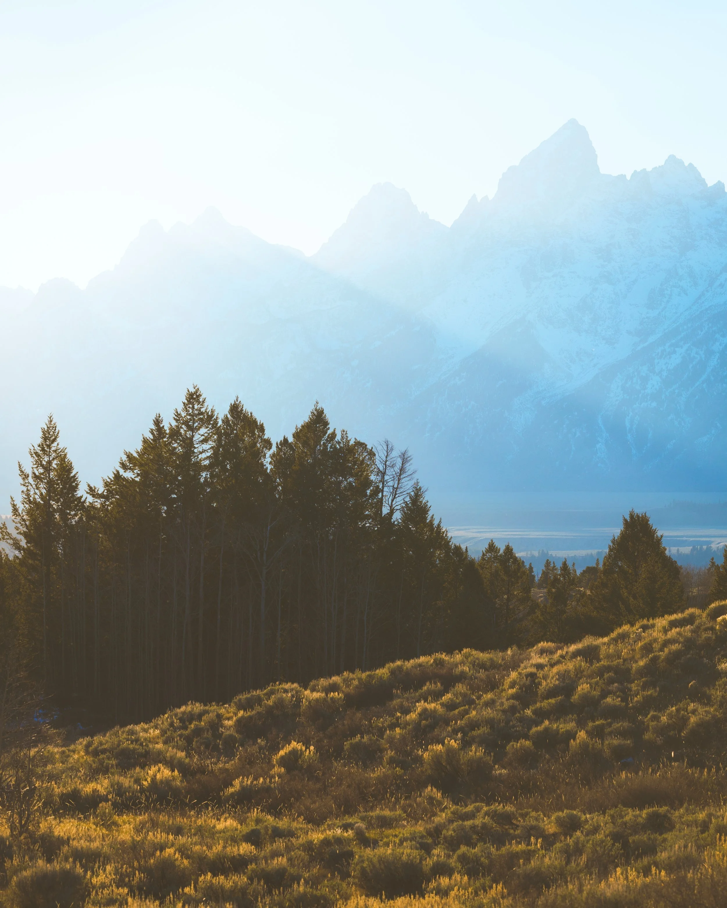 Kyle Patrick Shivers