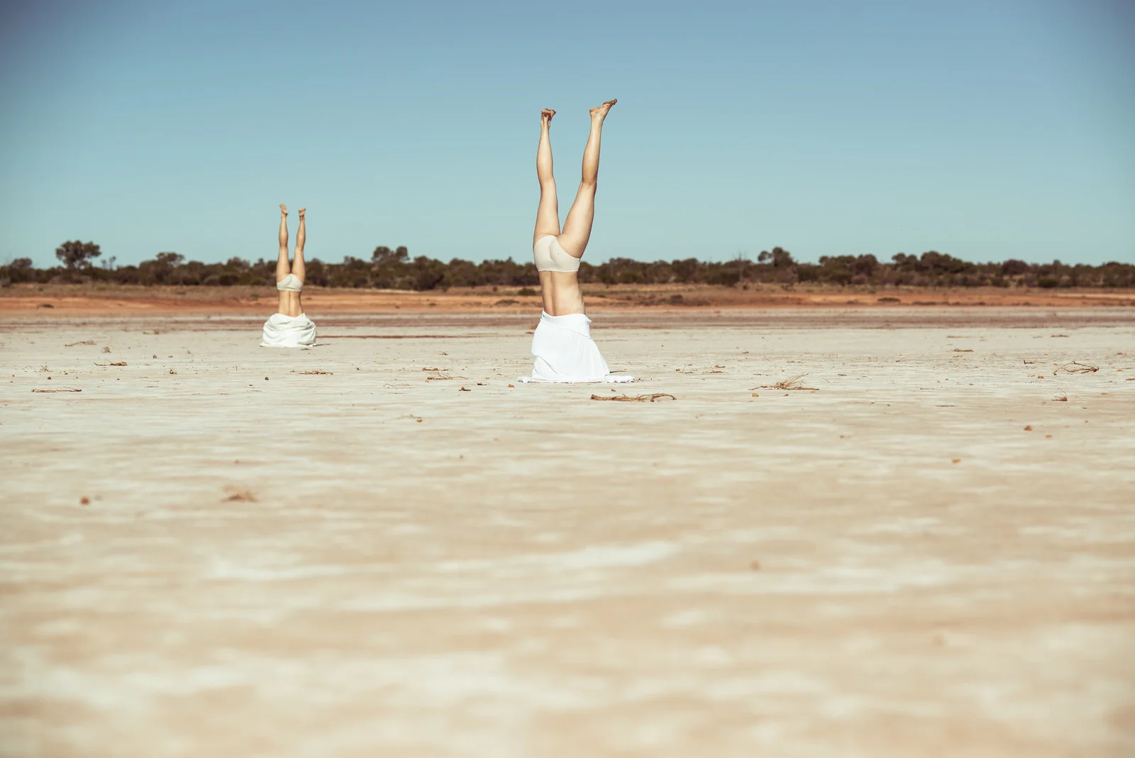 Projects — GUTS Dance // Central Australia