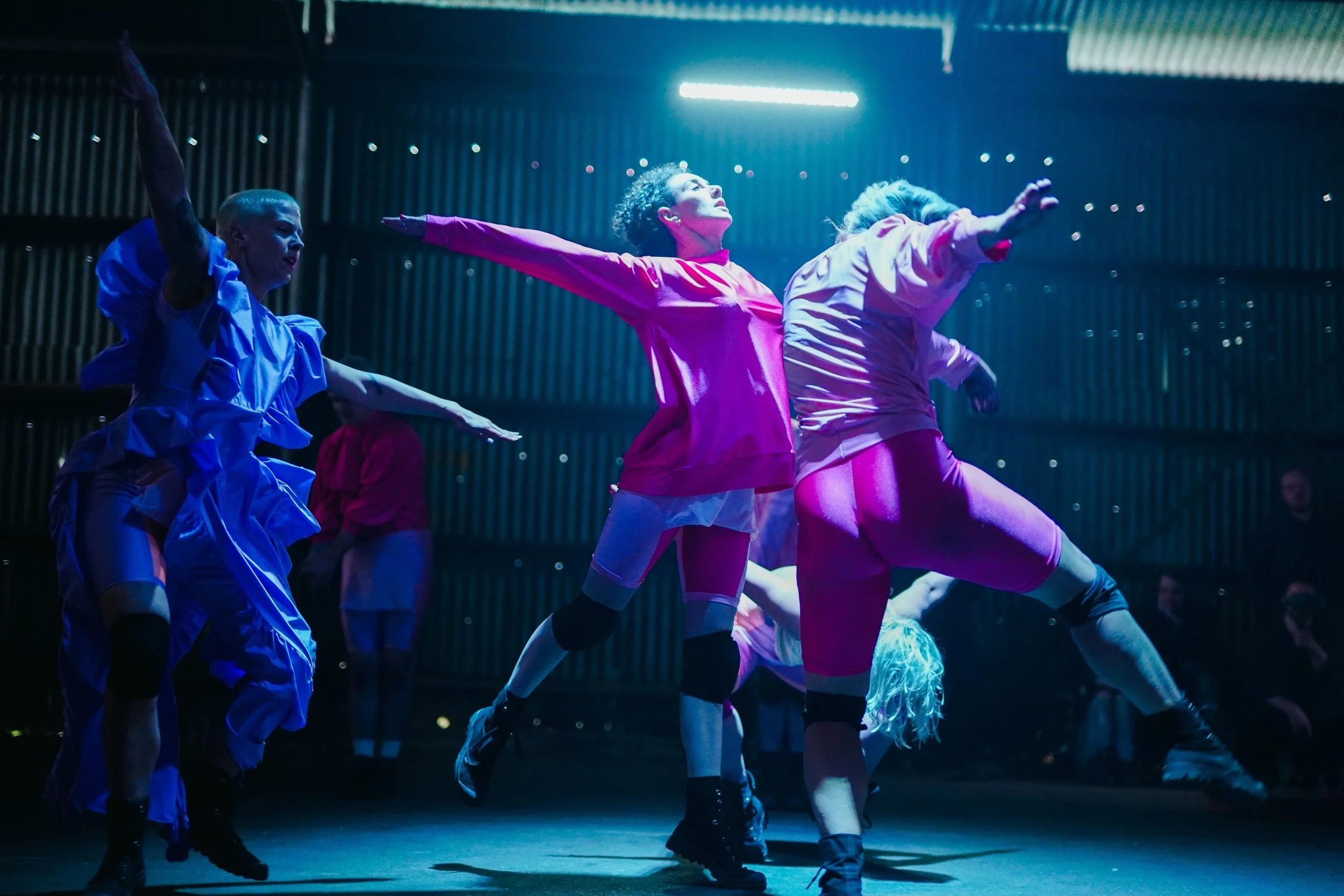 Projects — GUTS Dance // Central Australia