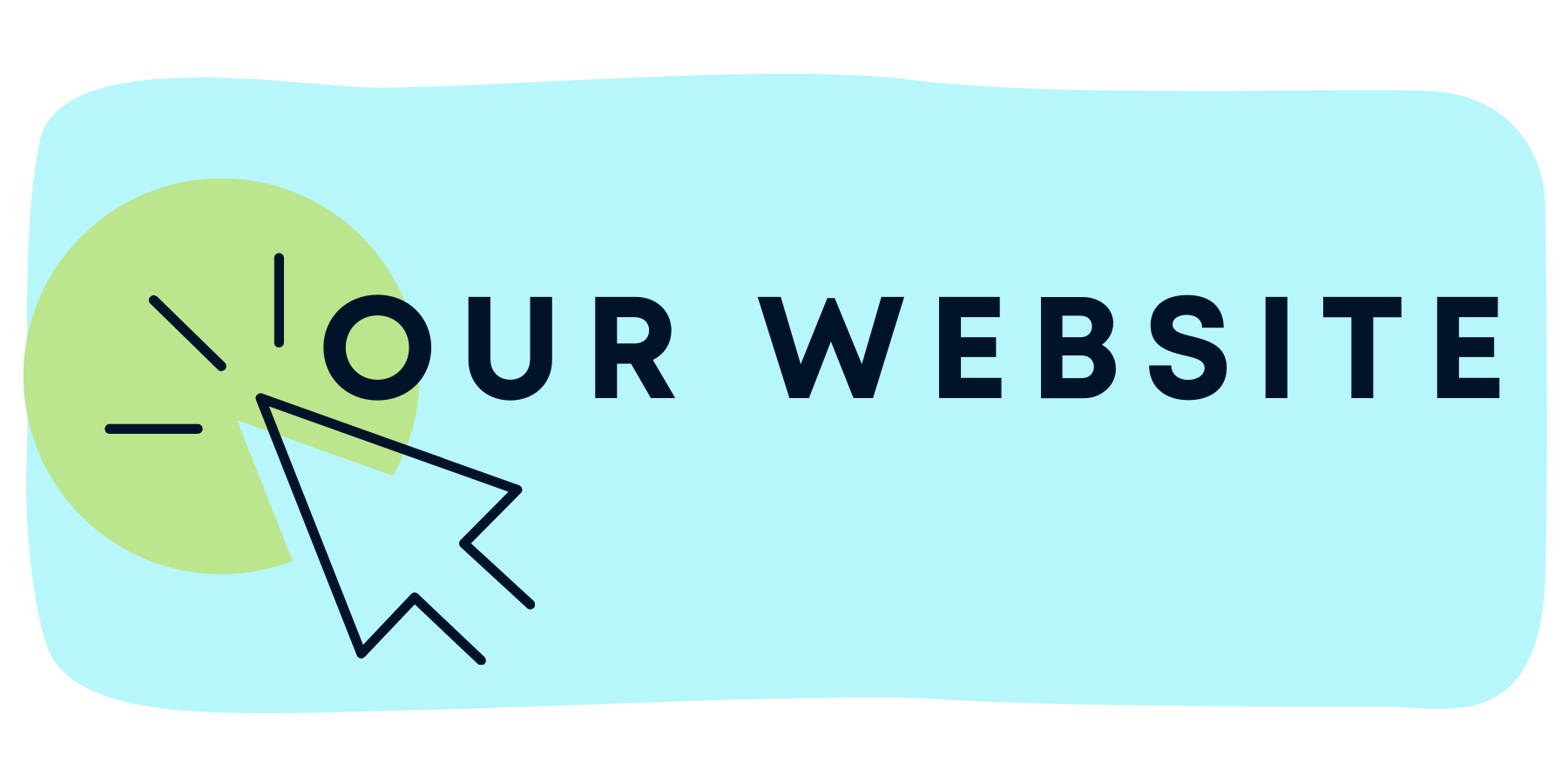 Visit Website Button