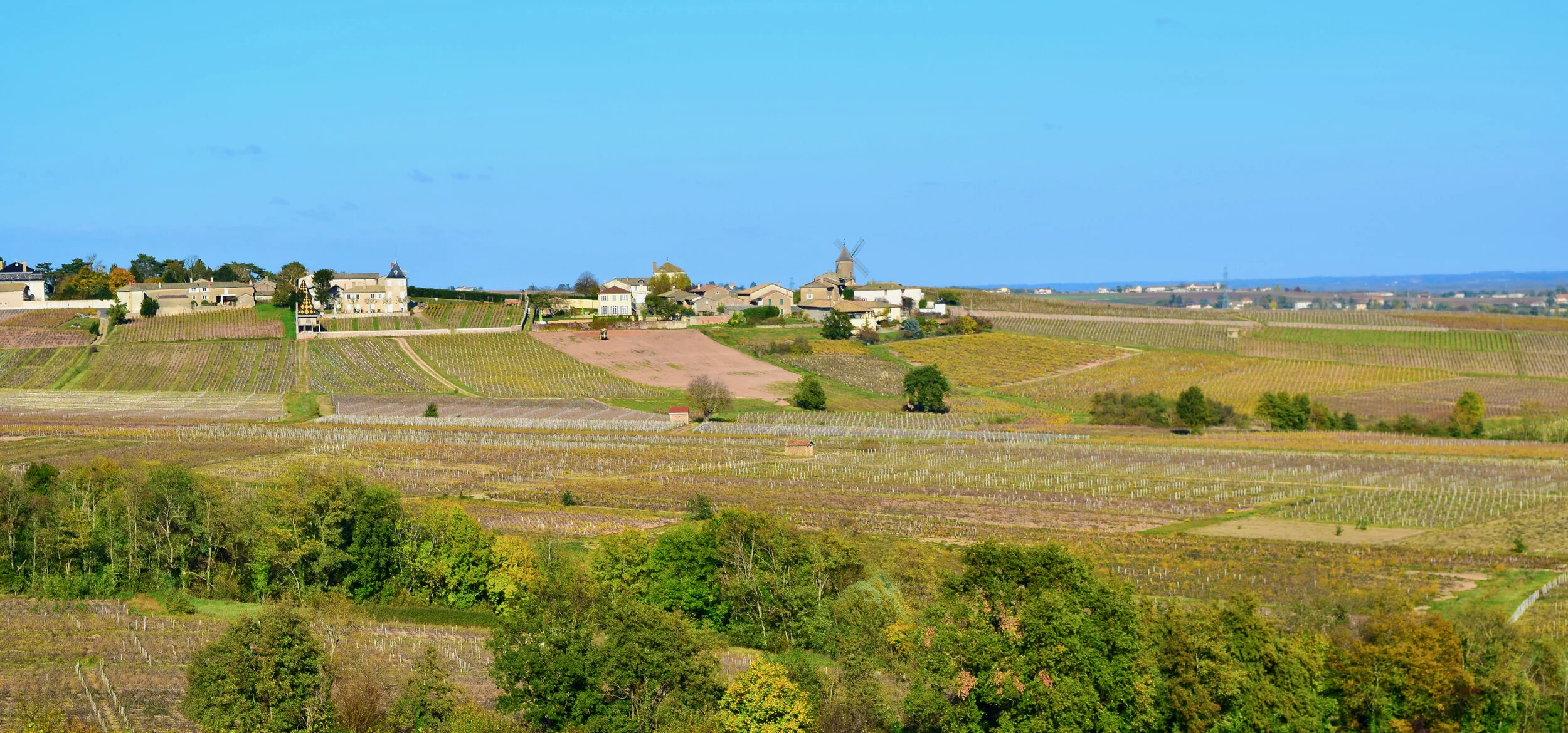 Domaine Metrat Image Gallery — Vintage and Vine