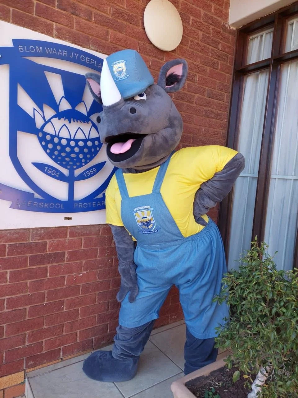 Mascots — Hollywood Costumes