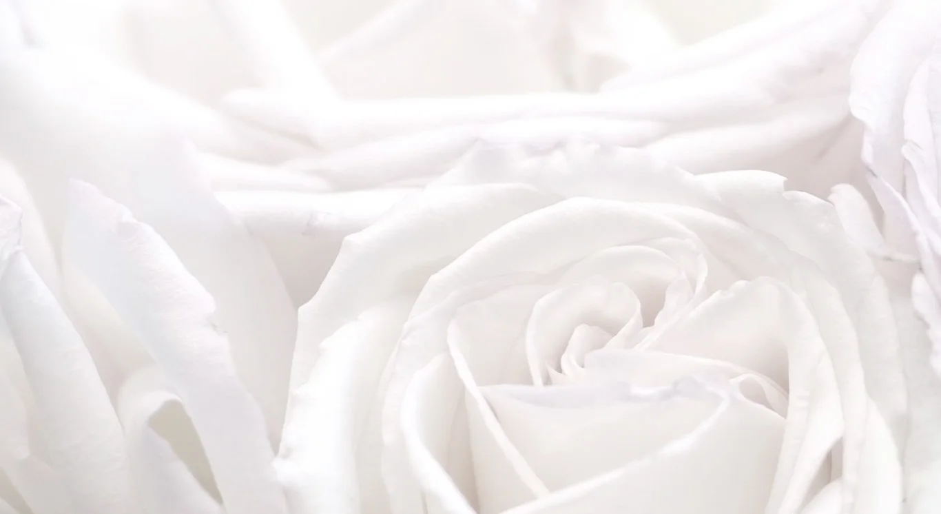 White Rose Leadership Institute