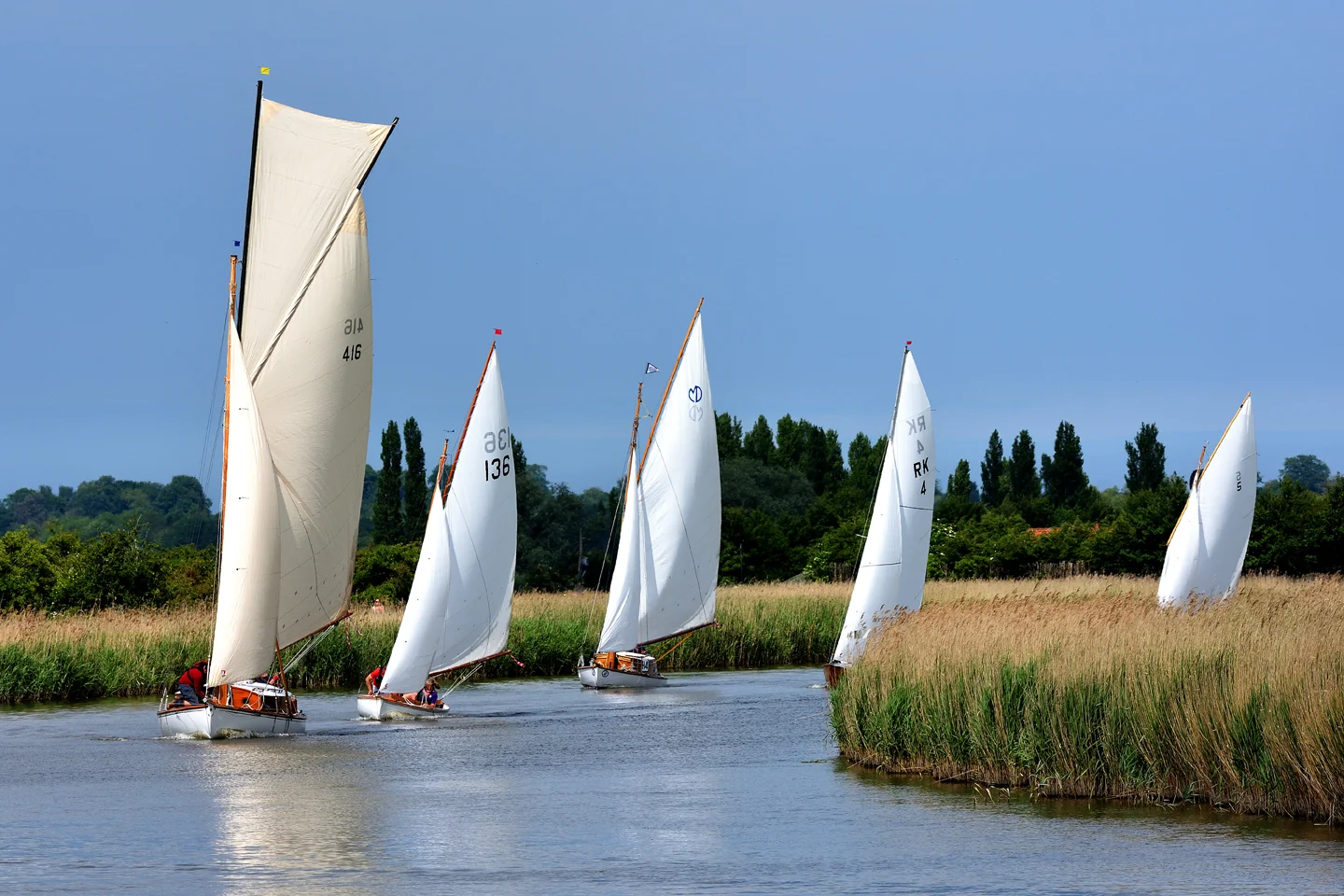 Neil Foster Photography