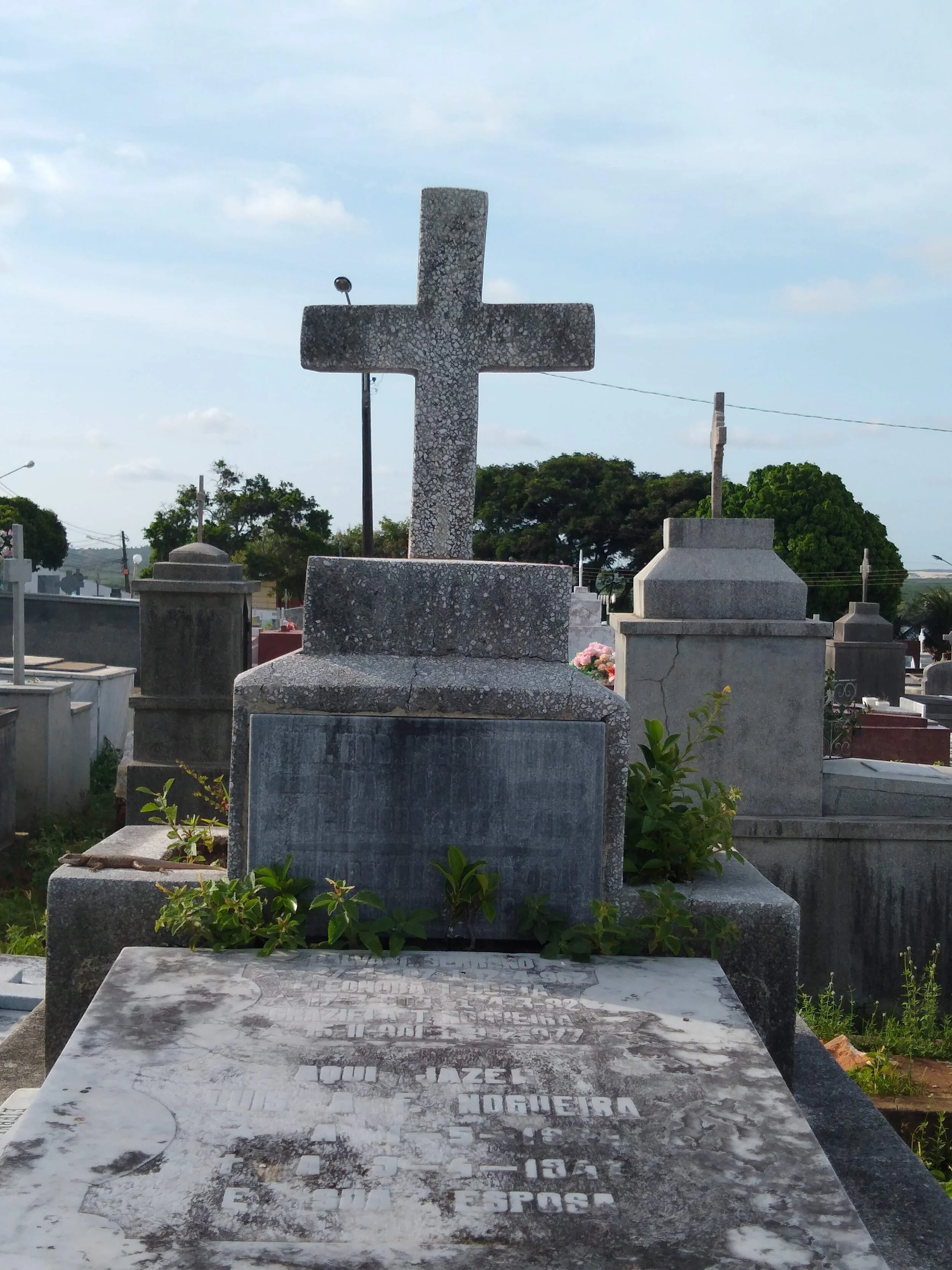 Alecrim: O Cemitério (Parte 4 - Os Simbolismo) — Natal das Antigas