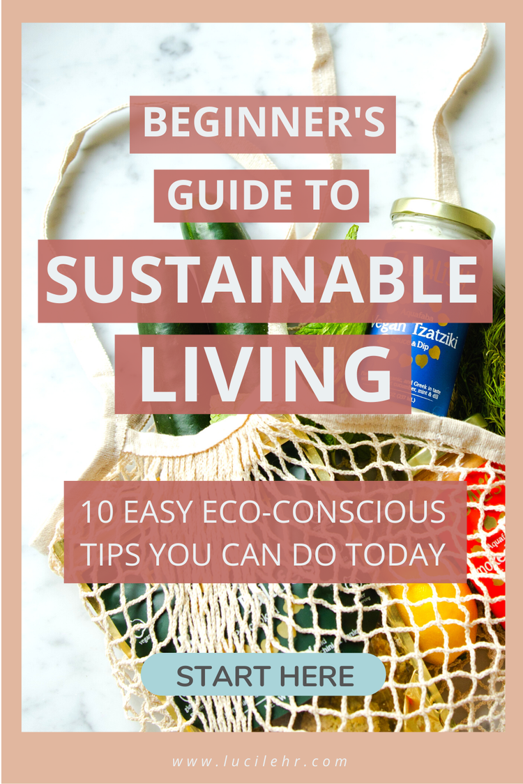 Beginners’ Guide to Sustainable Living: 10 Easy Eco-Conscious Tips You ...