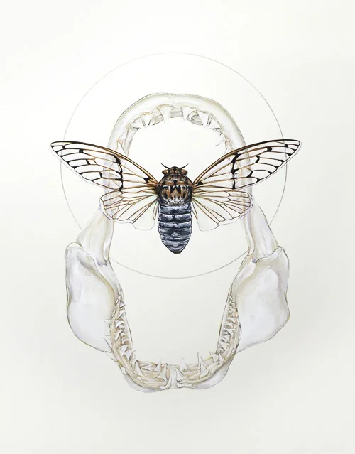 Artwork — Thomas Jackson