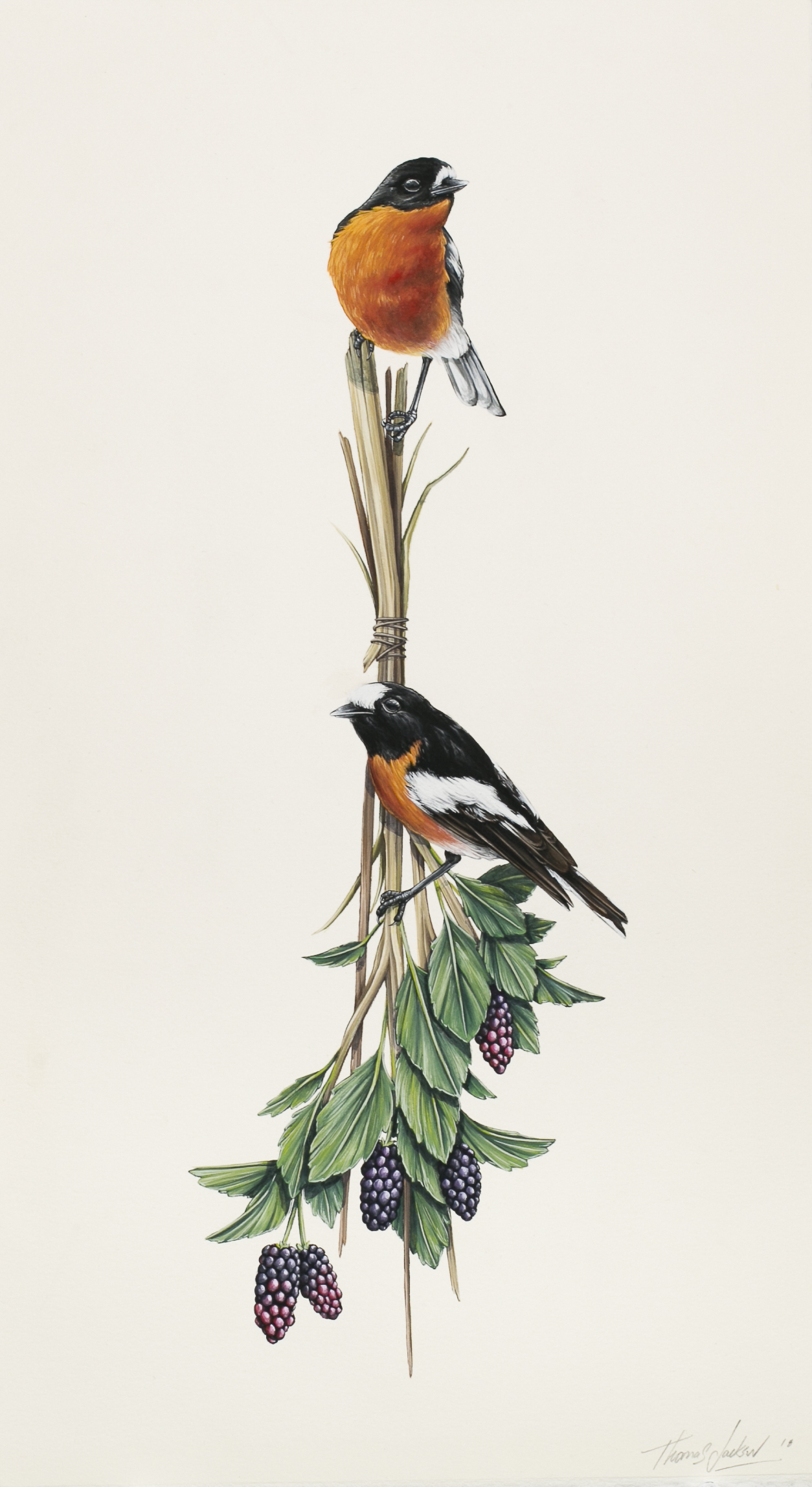 Artwork — Thomas Jackson