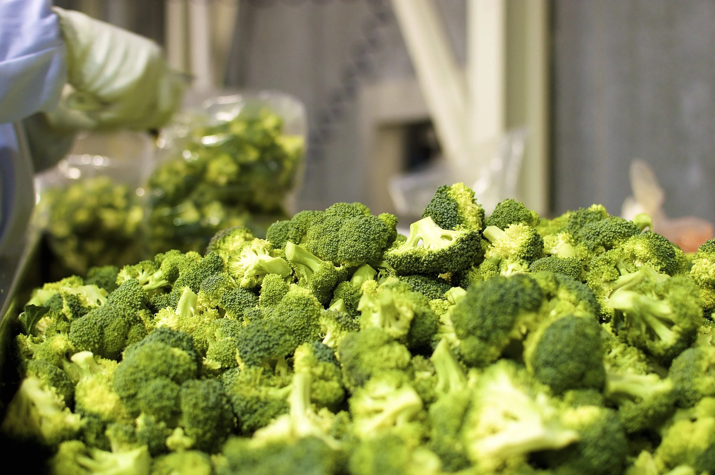 Fresh Cut | Order Fresh Cut Today — DNO Produce