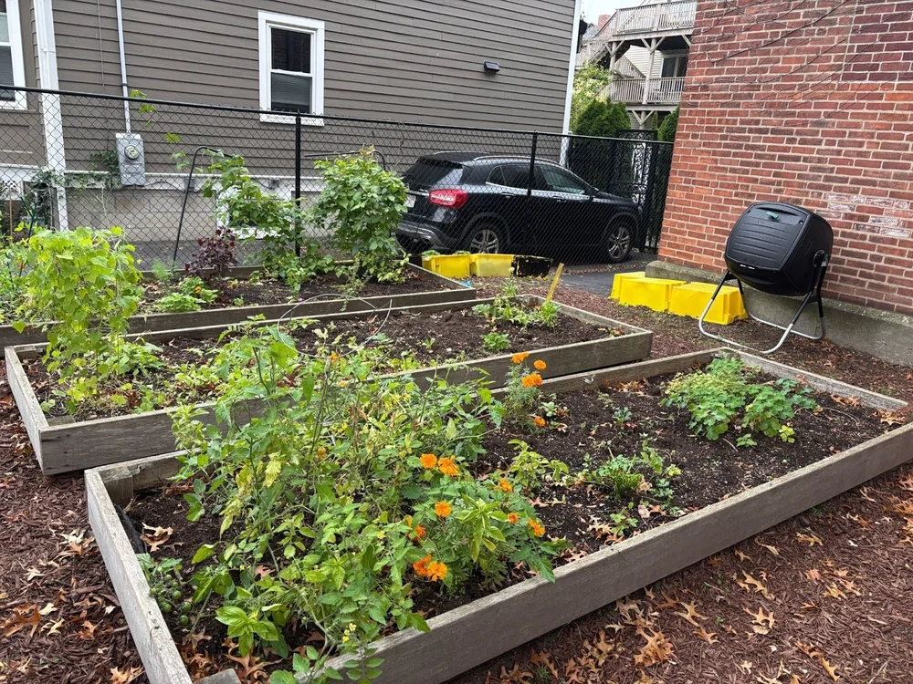 A seed that flourished into a garden: CitySprouts’ 25th Garden in our ...