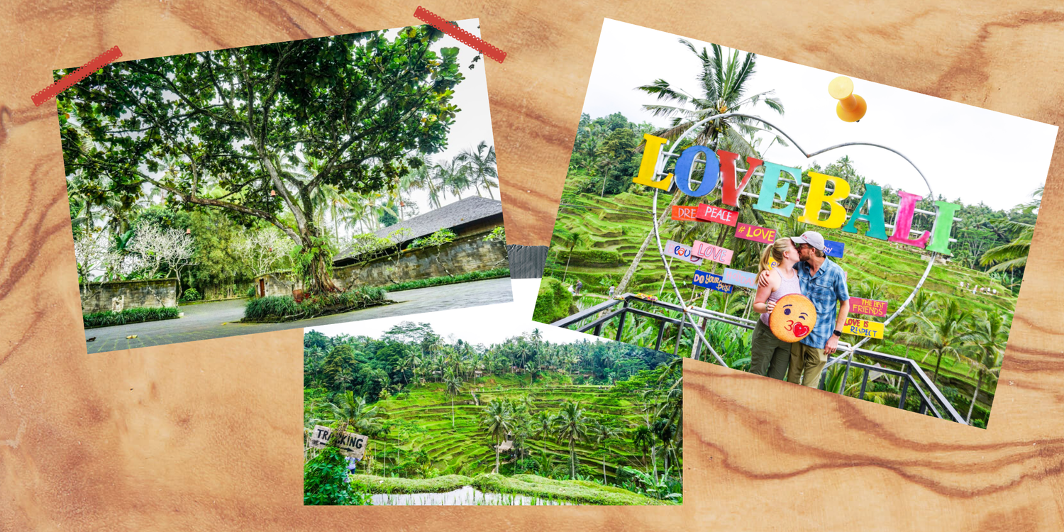 Bali — Amie Delisa