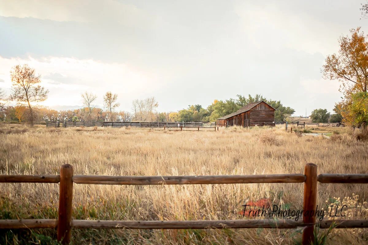 Sandstone Ranch {Longmont Family Photographer} — Denver Photographer