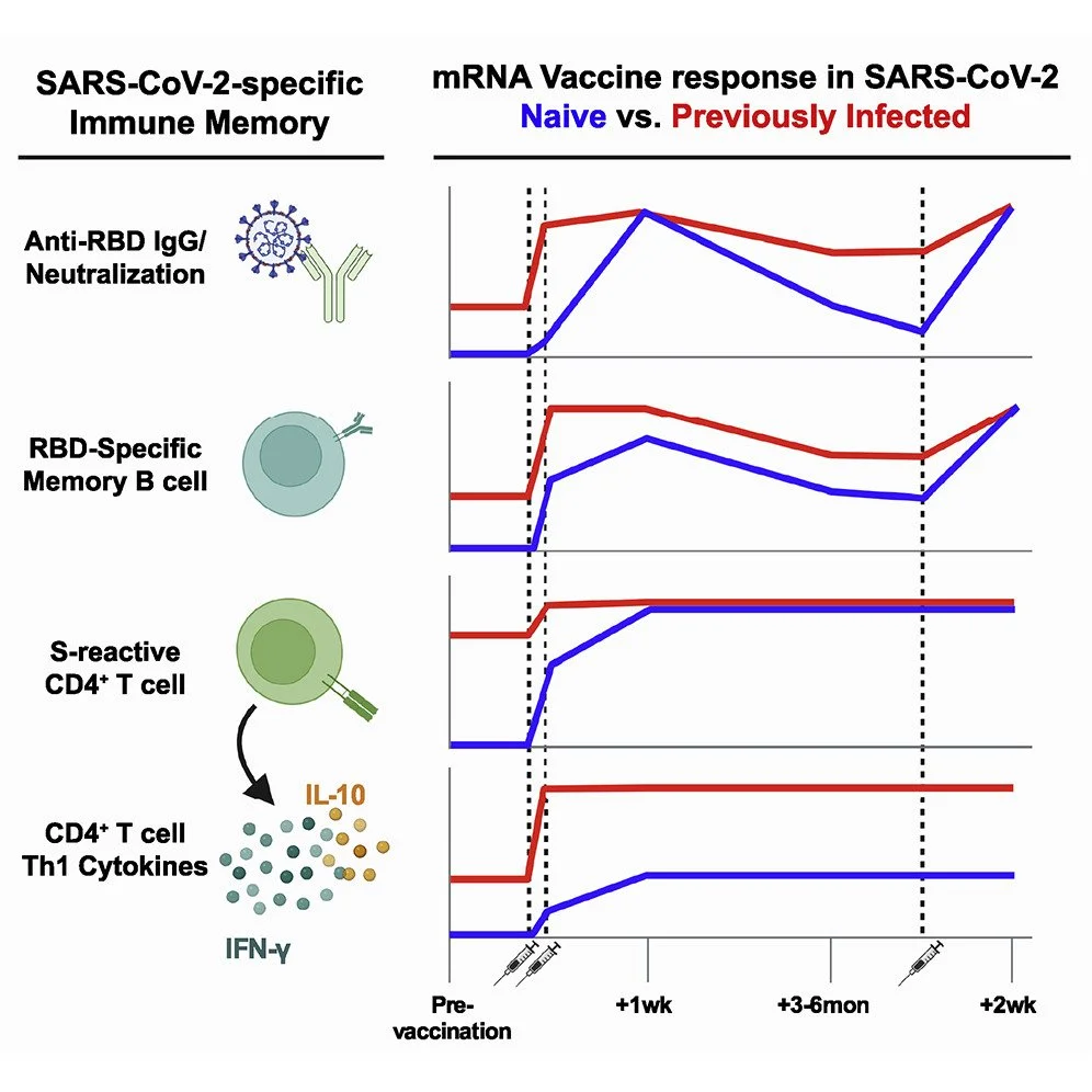 HAARVI Study — Chu Lab