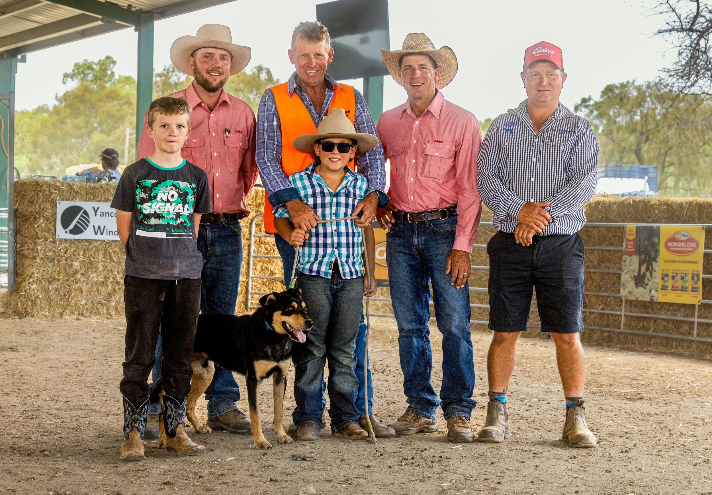Jerilderie Working Dog Auction