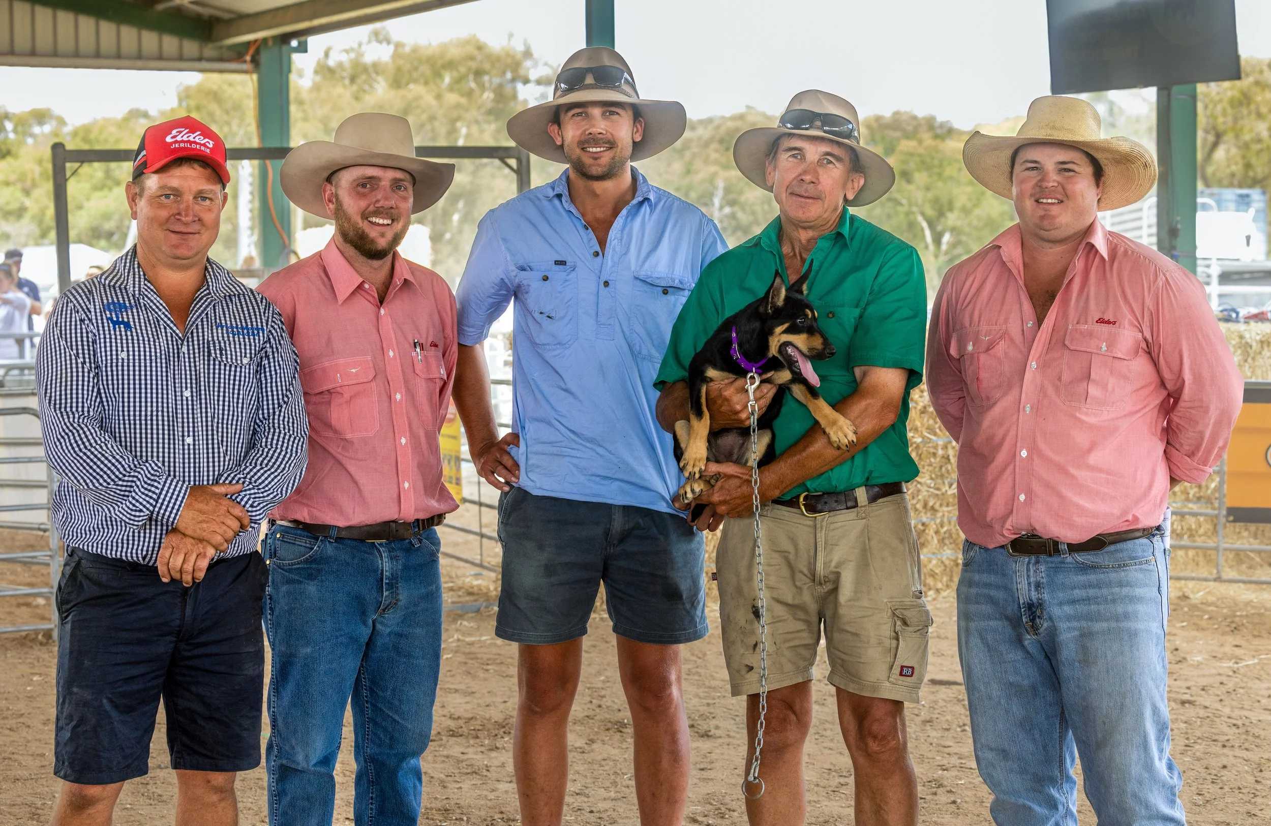 Jerilderie Working Dog Auction
