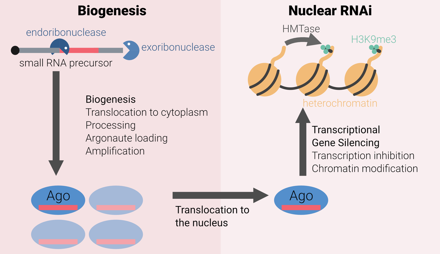 Research — Falk Lab