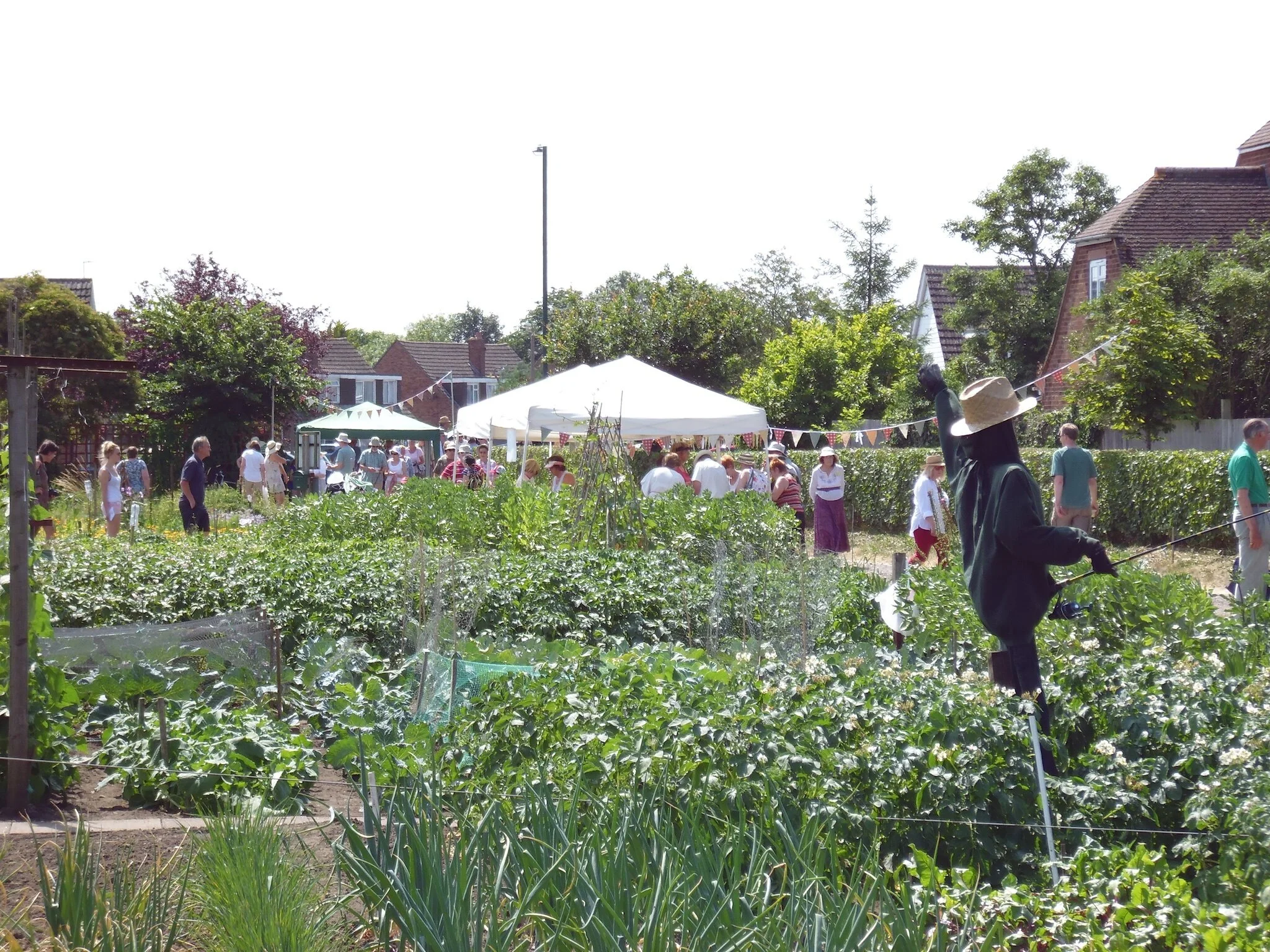 Our Plots — Wellesbourne Allotments