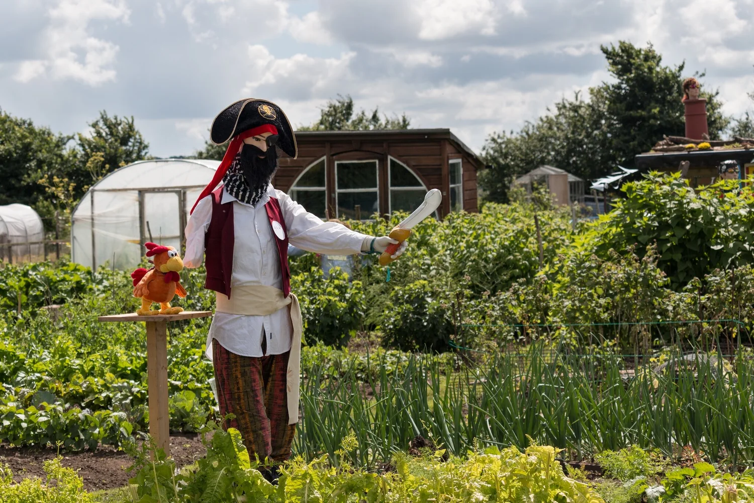 Our Plots — Wellesbourne Allotments