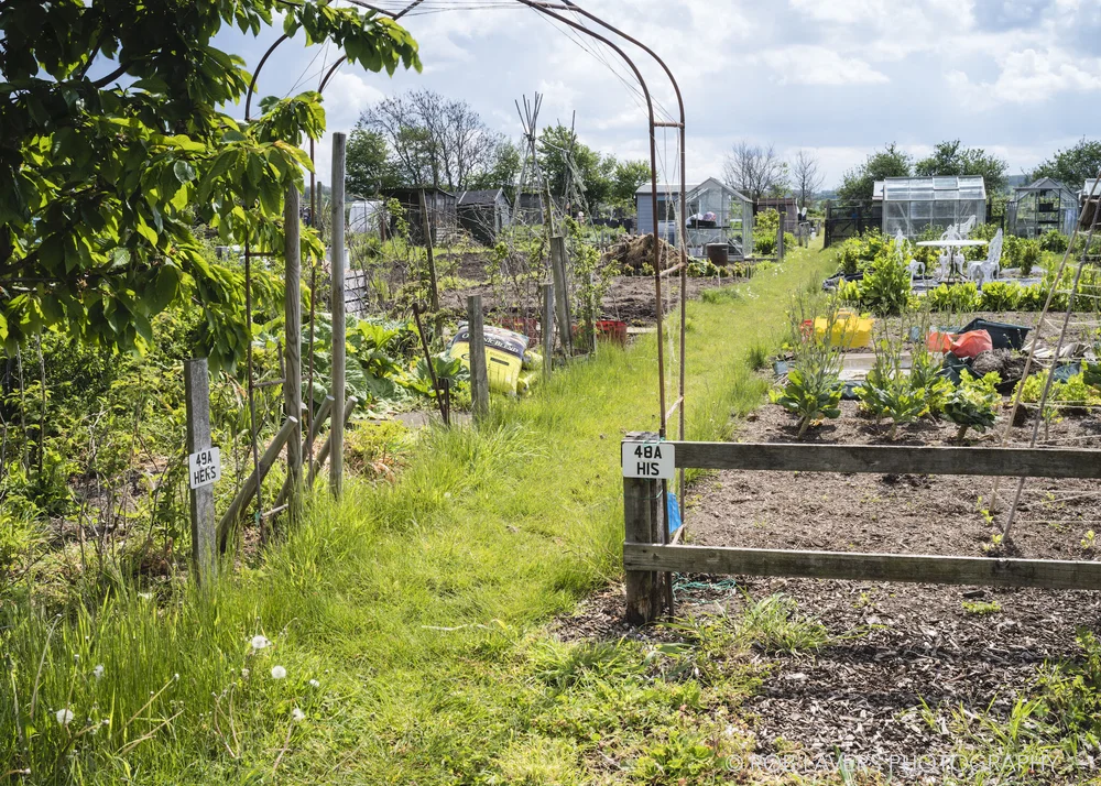 Our Plots — Wellesbourne Allotments