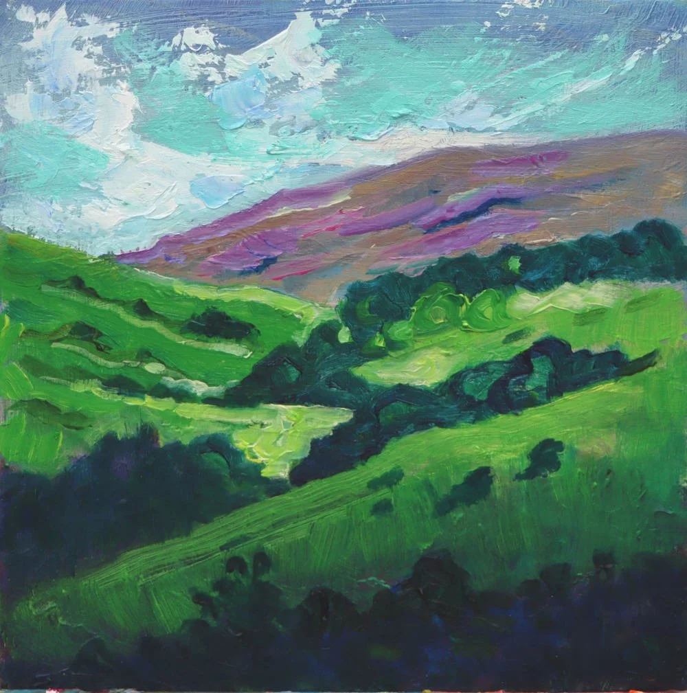 Landscape for walking Mary Kemp — Mary Kemp