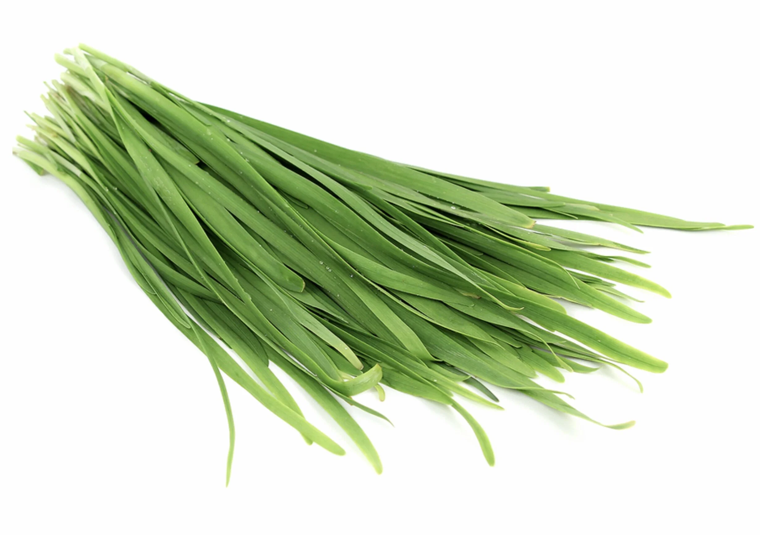 Garlic Chives