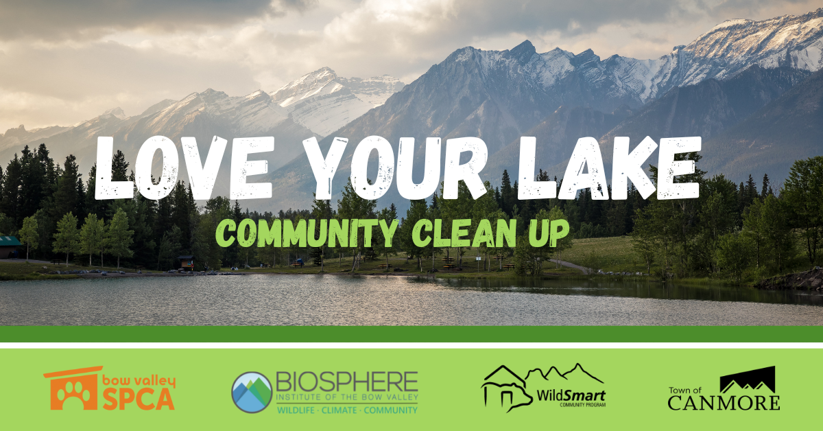 Love Your Lake Community Clean Up! — Biosphere Institute of the Bow Valley