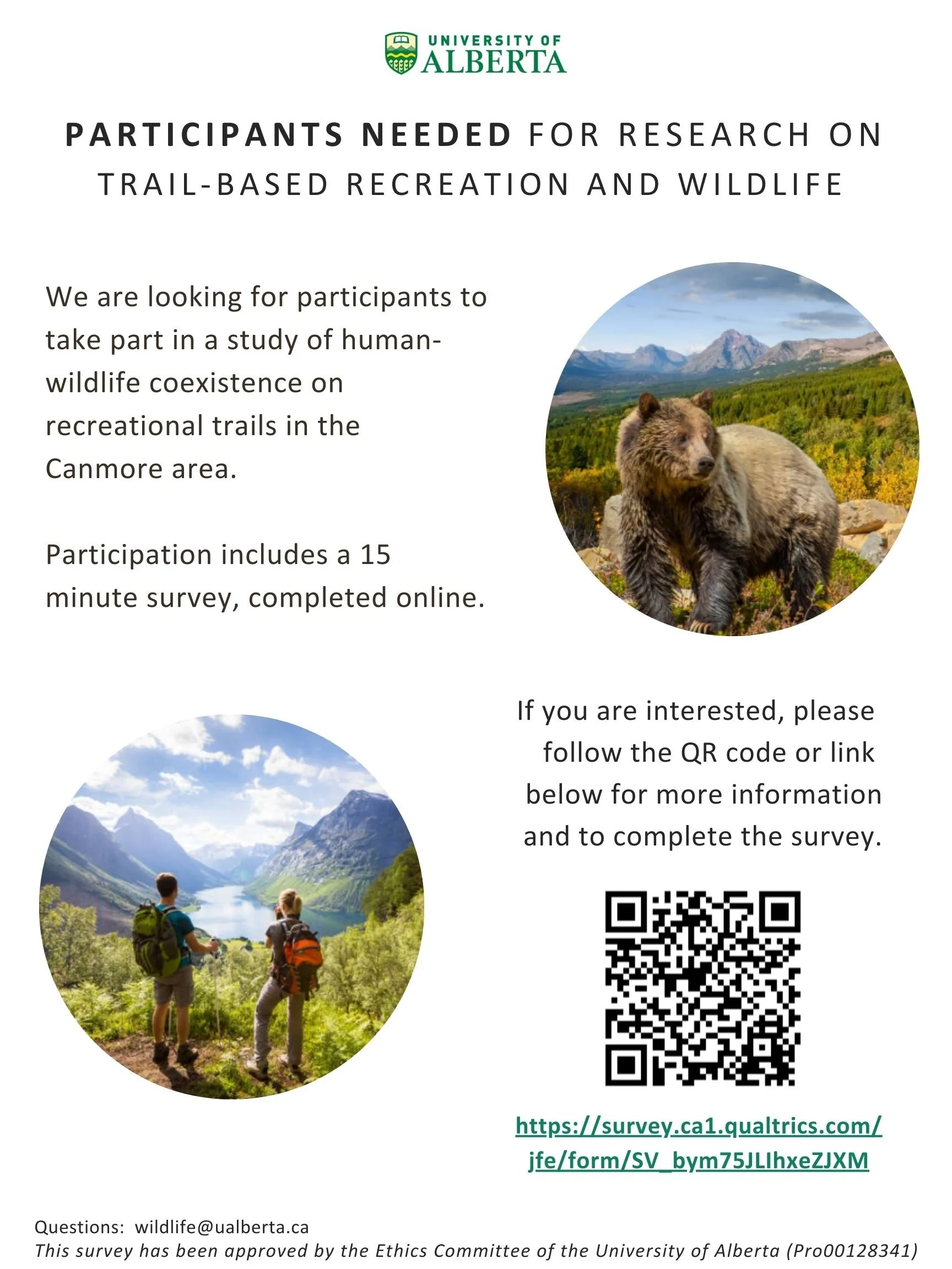 Bear Report - June 15, 2023 — Biosphere Institute of the Bow Valley