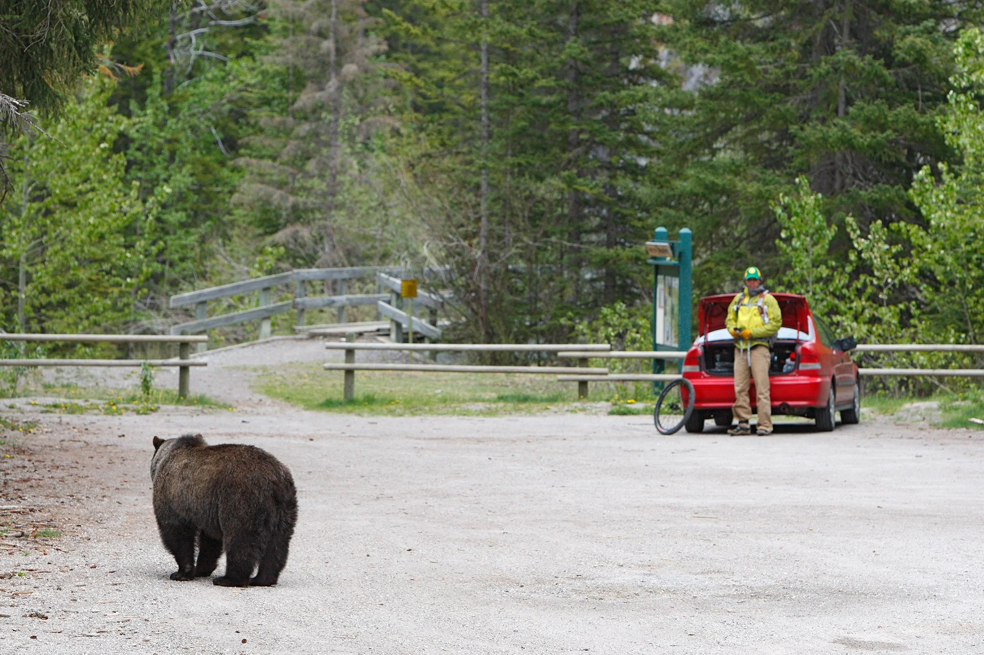 Canmore Area Trails Master Plan — Biosphere Institute of the Bow Valley